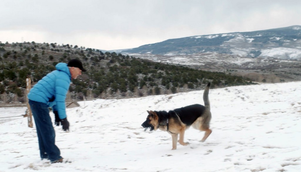 Yoga as a Companion: Rod Stryker on Yoga – Glo | Blog